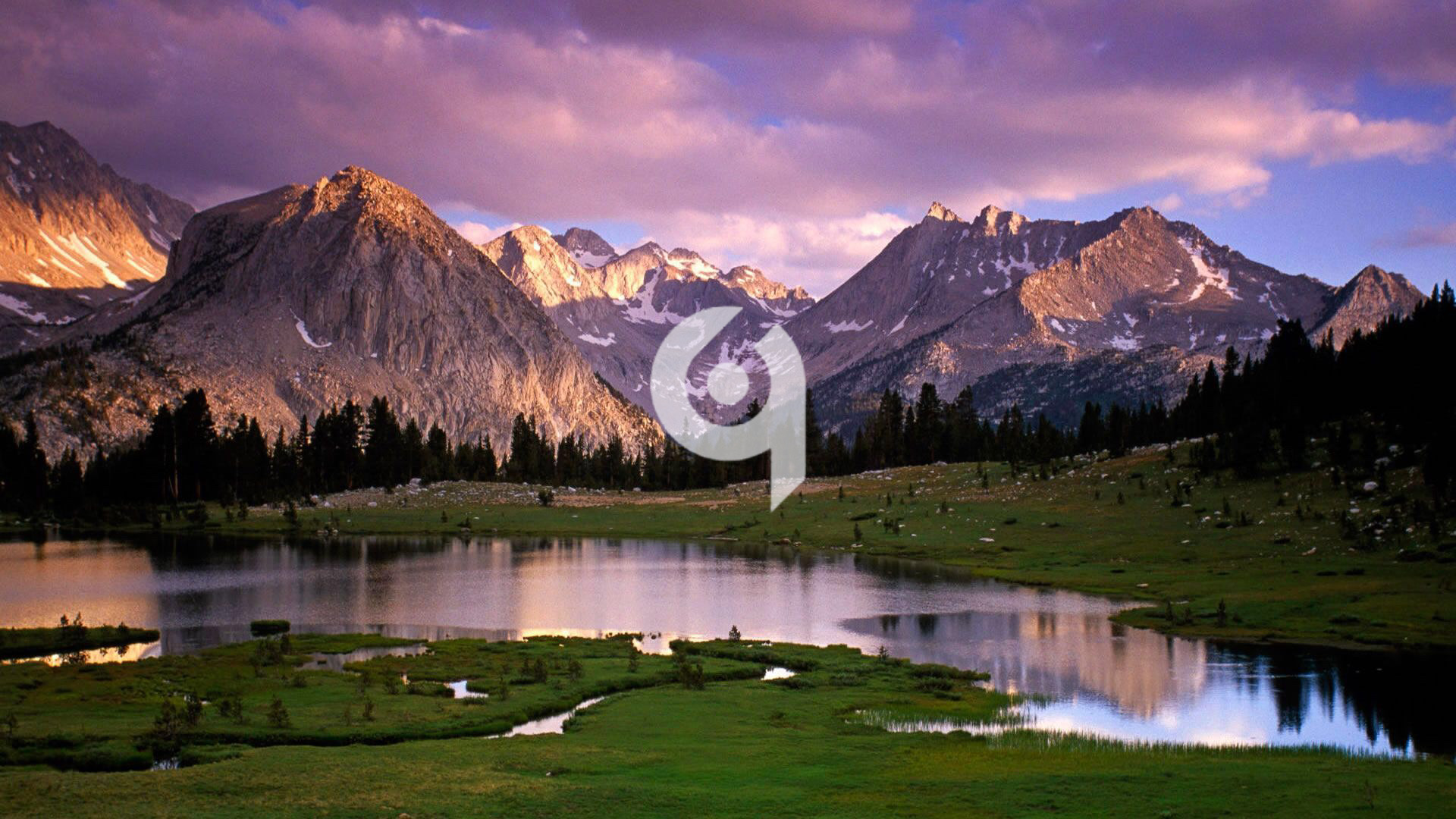 Division 9 - Exclaim