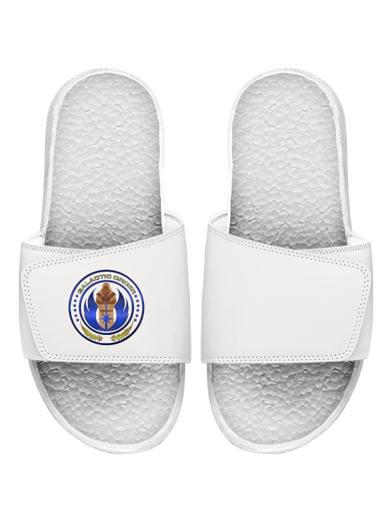 Custom Slides – Galactic Order